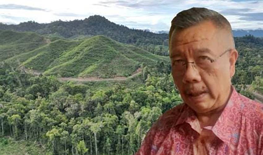 Guru Besar IPB: Pemanfaatan Hutan Sering Kali Terhambat dengan Isu ...